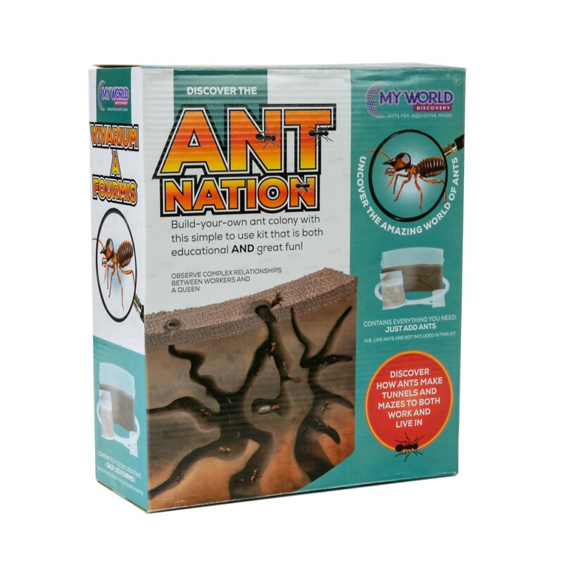 DISCOVER THE ANT NATION / BUILD-YOUR-OWN ANT COLONY – B3 STORE